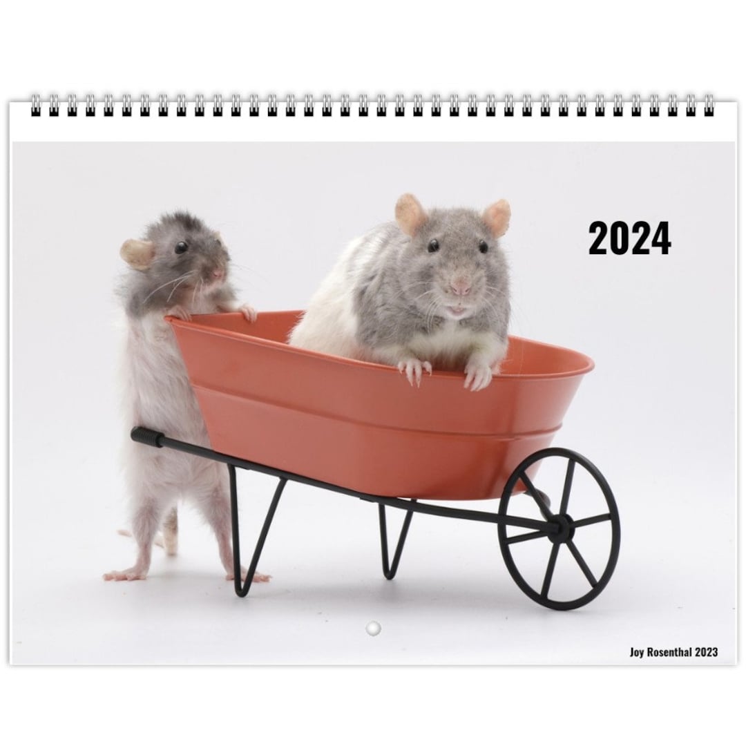 2024 Pet Rat Calendar US & Canada - Etsy