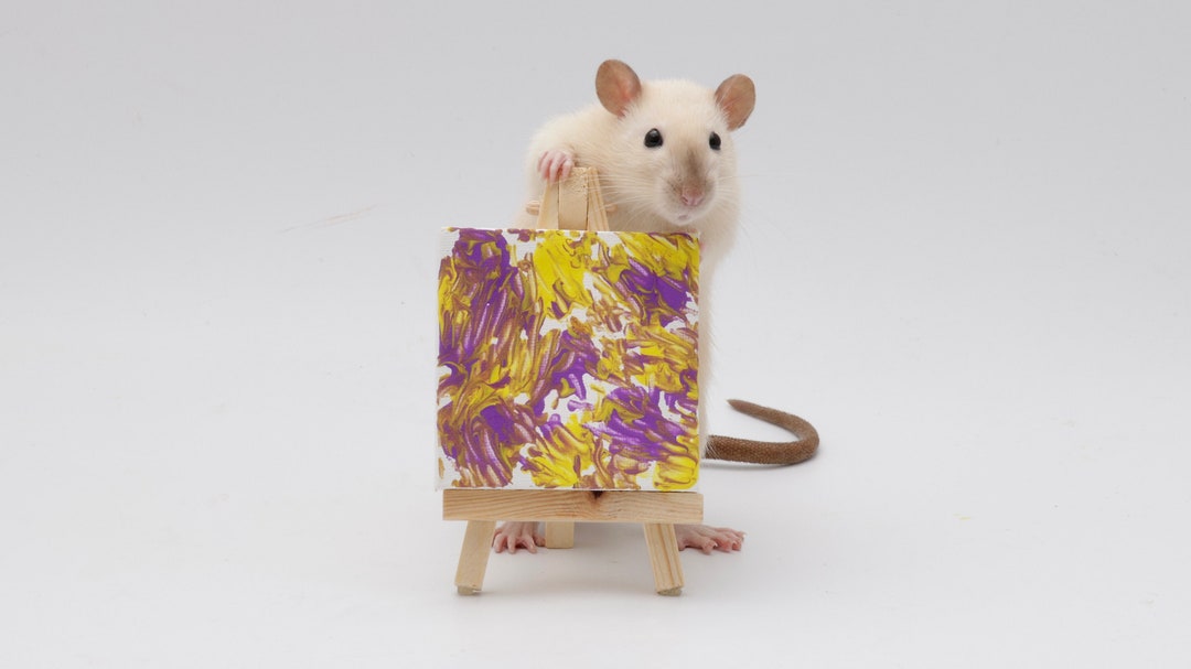Rat Painting 3"x3" - Etsy