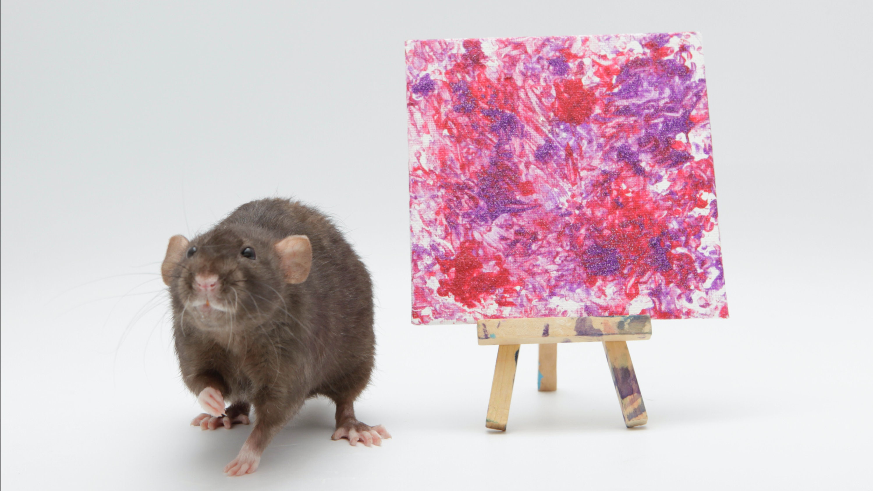 Rat Painting 6x6 - Etsy UK