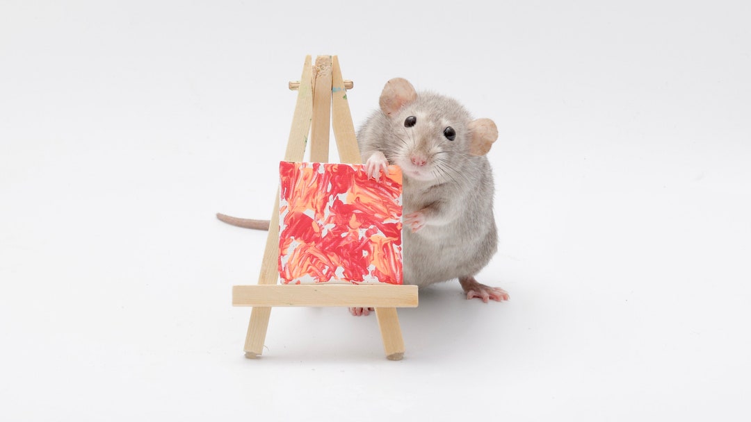 Rat Painting 2"x2" - Etsy