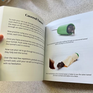 The Ultimate Guide to Rat Training (physical Book) - Etsy