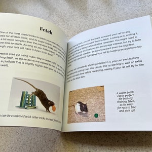 The Ultimate Guide to Rat Training (physical Book) - Etsy