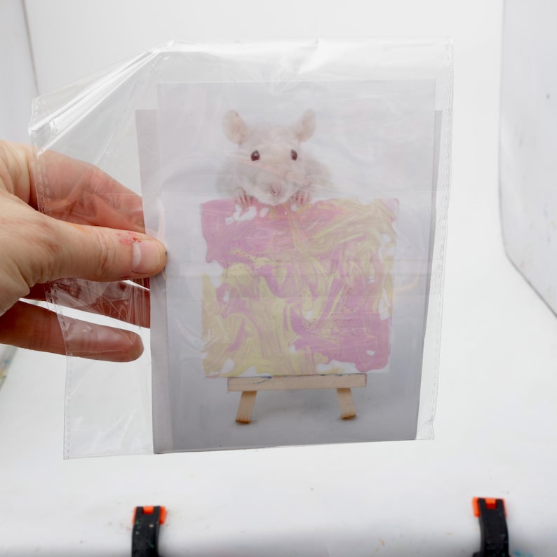 Pre-made Rat Paw Paintings - Etsy UK