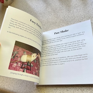 The Ultimate Guide to Rat Training (physical Book) - Etsy