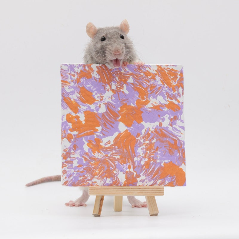 RatPaintings - Etsy