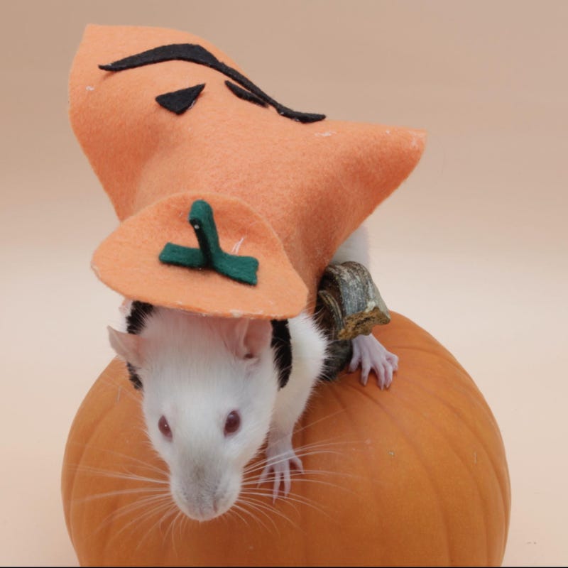 Rat Costume - Etsy