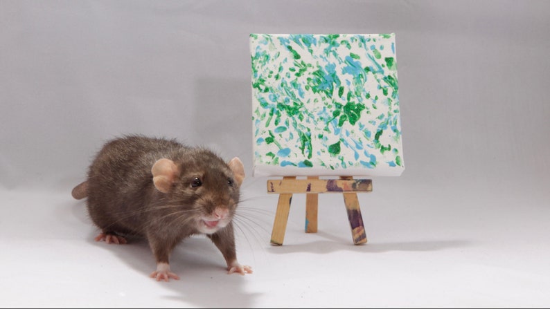 Rat Painting 4x4 - Etsy