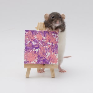 Rat Painting 3"x3" - Etsy