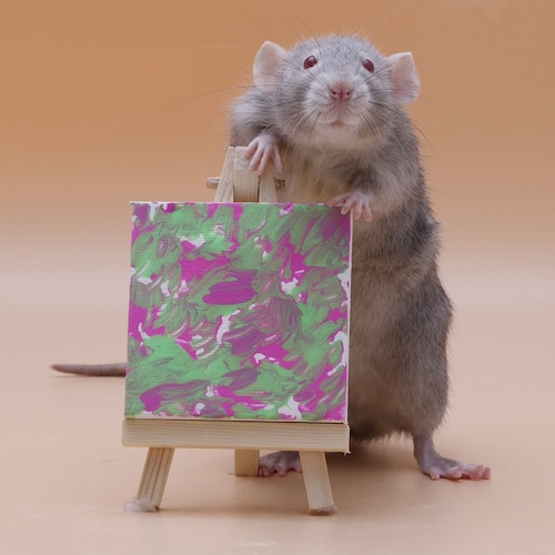 RatPaintings - Etsy