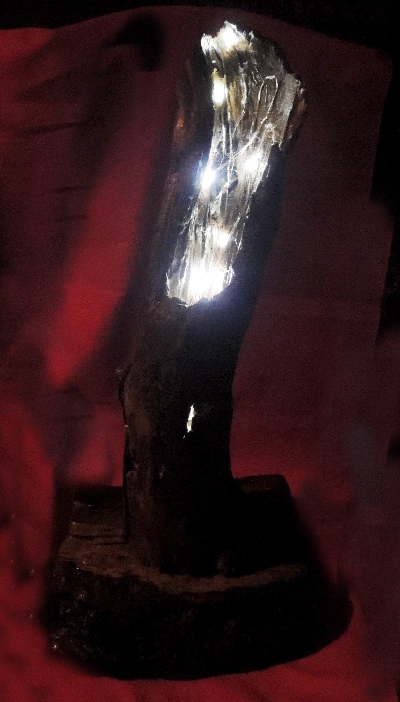 Hollow Log Lamp - Etsy