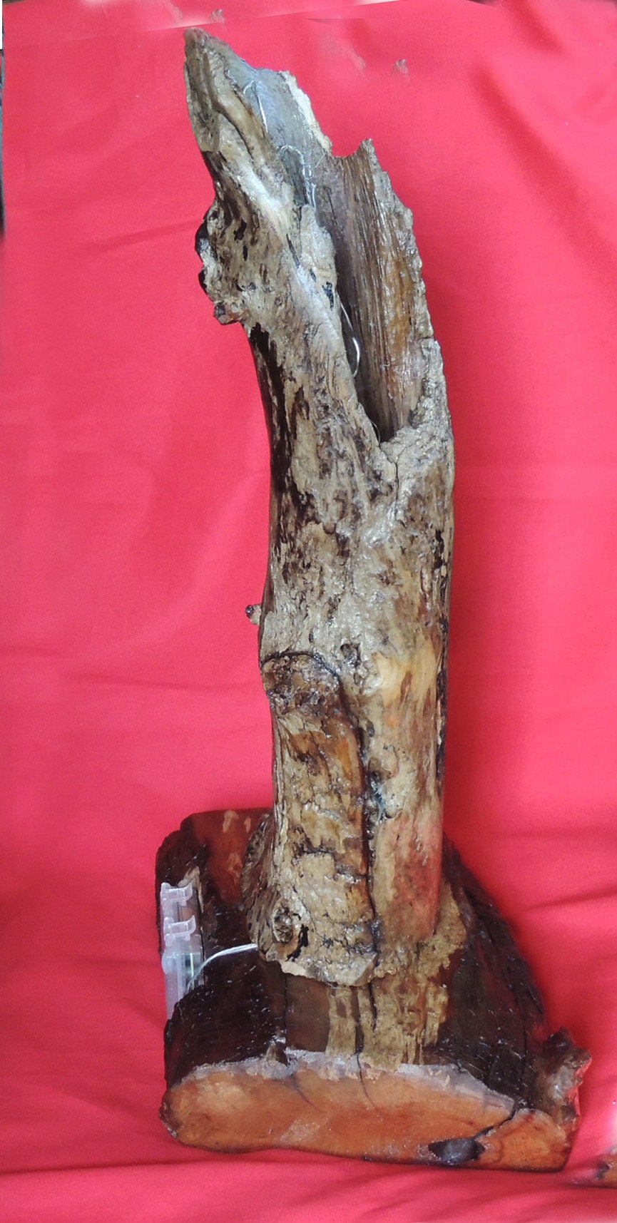 Hollow Log Lamp - Etsy