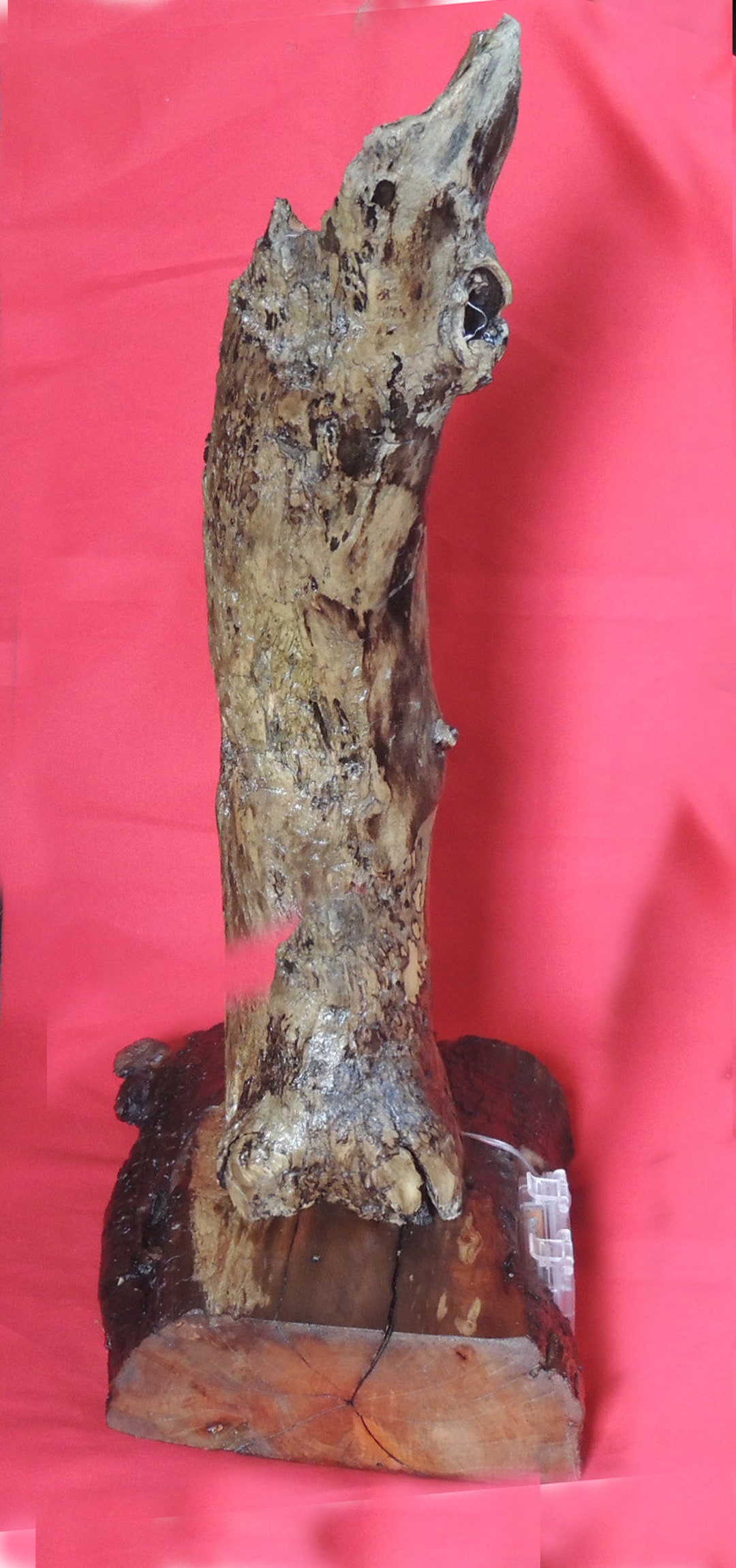 Hollow Log Lamp - Etsy