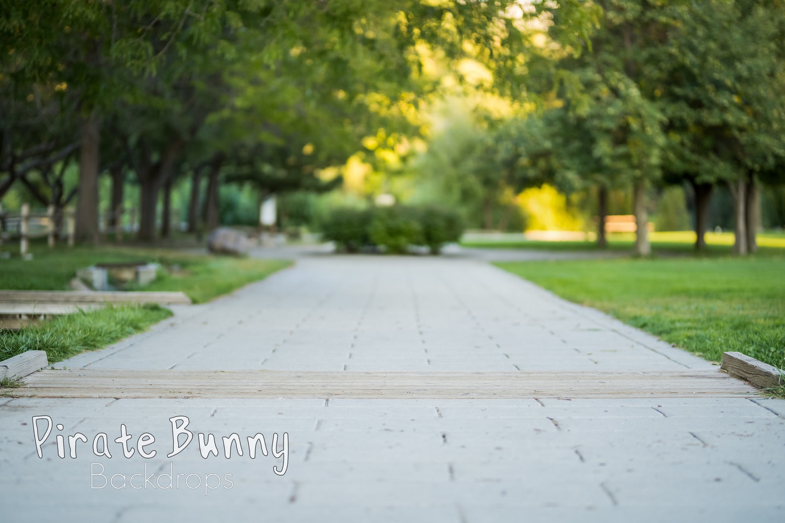 2 Green Park With Pathway Digital Backgrounds Portrait Photography ...