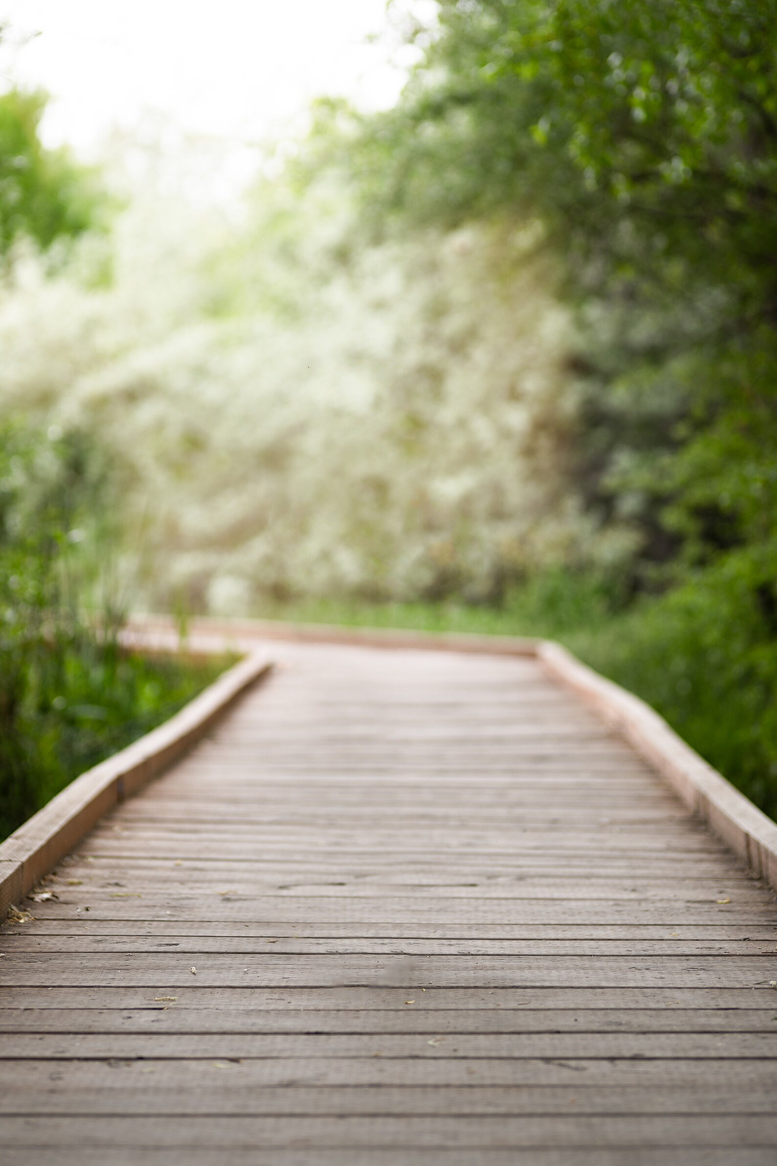 Boardwalk Digital Photography Background Set of 2, Boardwalk With ...