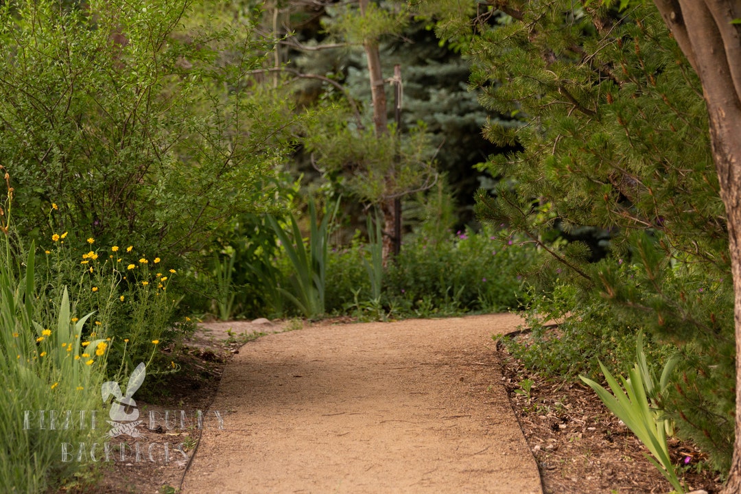 Garden Pathway Digital Background Garden Photography Backdrop Dirt ...