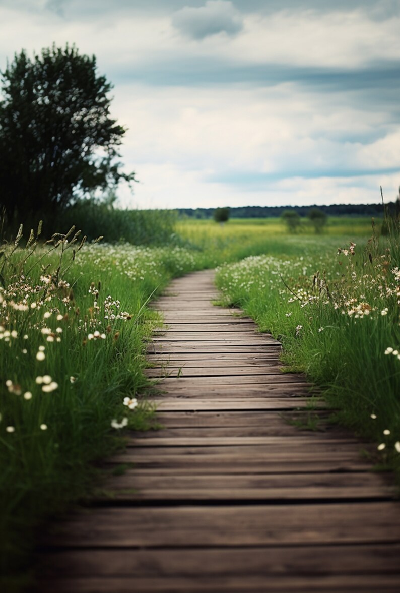 Wooden Pathway Digital Photography Background Boardwalk With Greenery ...