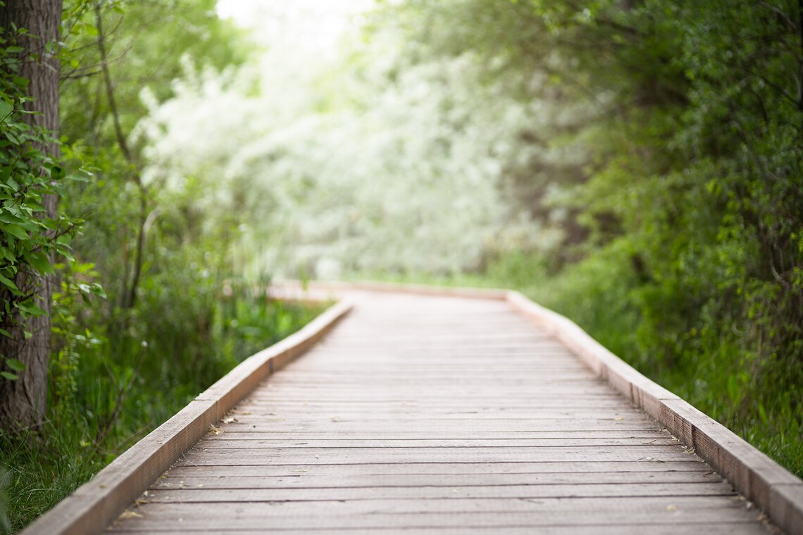 Boardwalk Digital Photography Background Set of 2, Boardwalk With ...