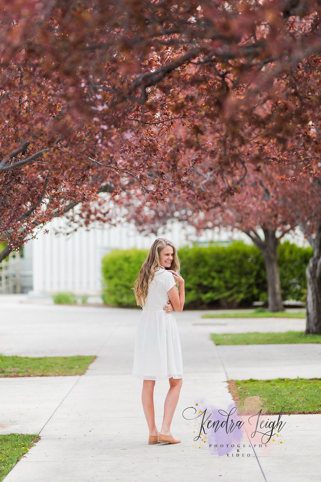 Red Cherry Trees Digital Background Summer Pathway Portraits Photoshop ...