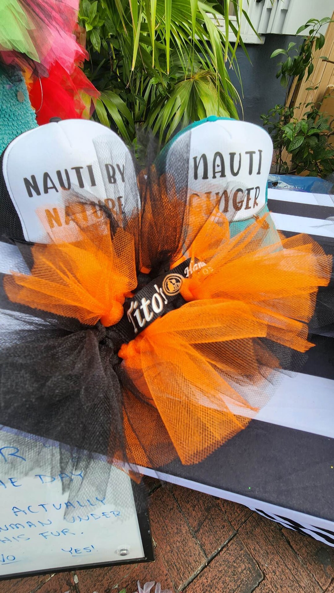 Titos Inspired Dog Tutu Dog Clothing and Accessories - Etsy