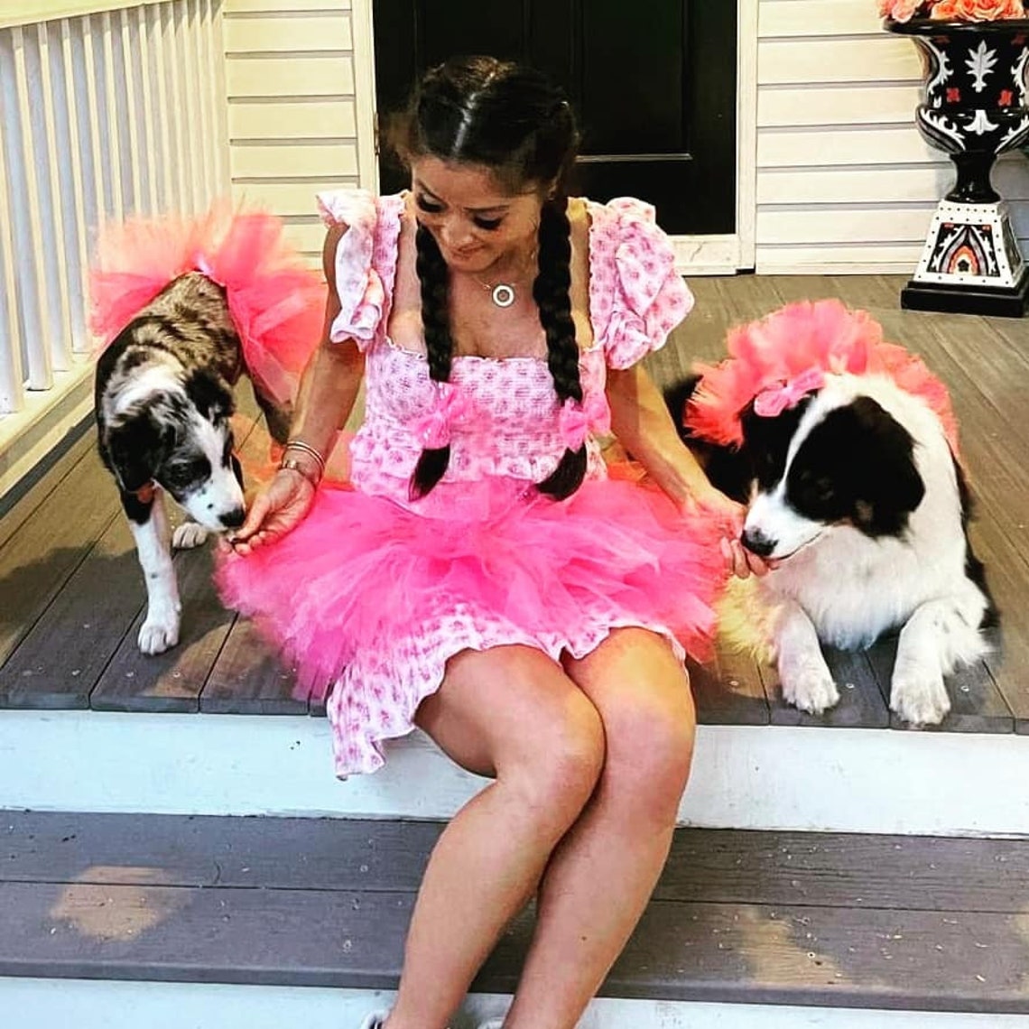 ANY COLOR! Custom Dog Tutus, Pick Your Theme~ Handmade Puppy Clothing ...