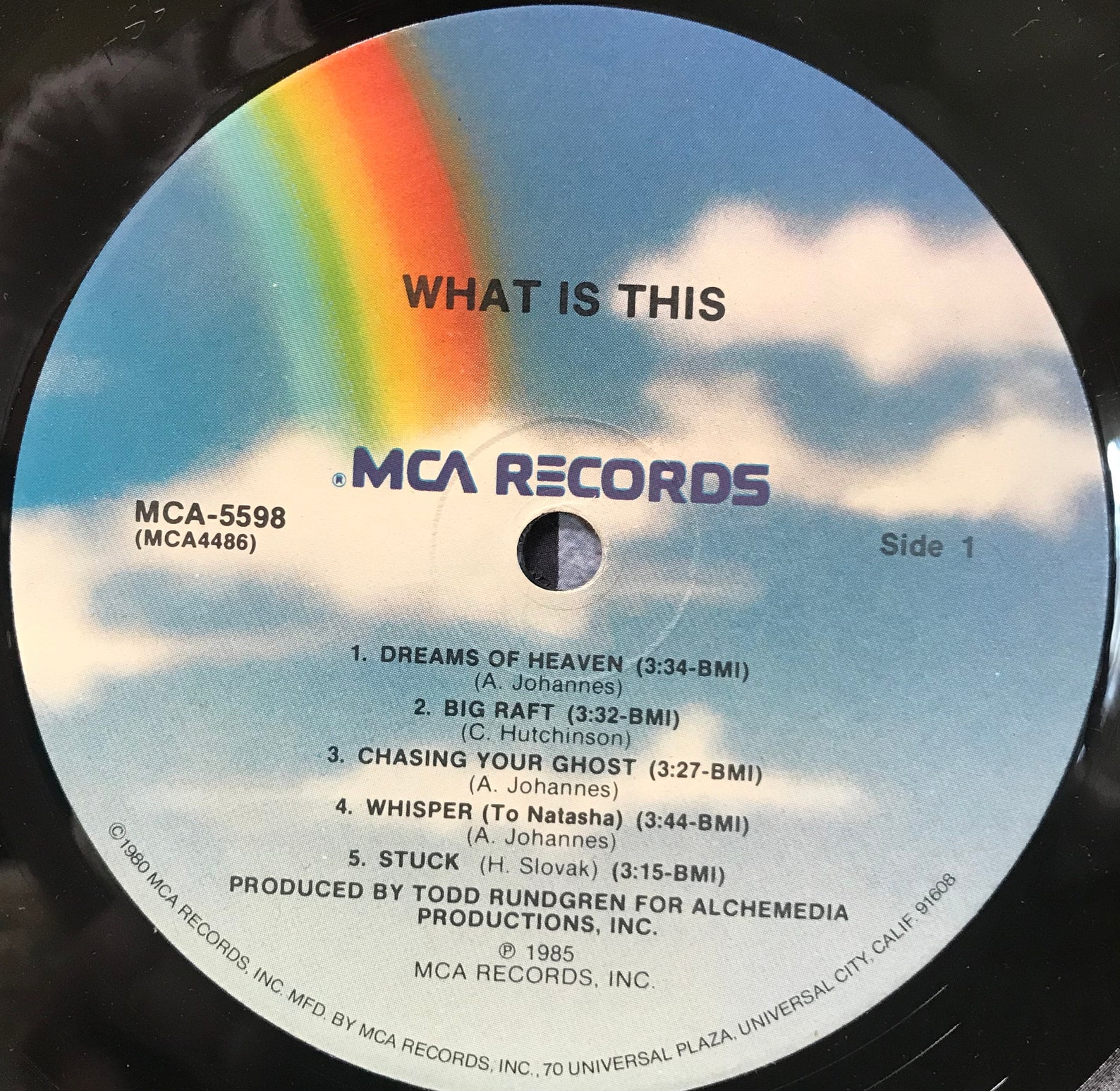 What Is This What Is This MCA Records MCA-5598 1985 | Etsy