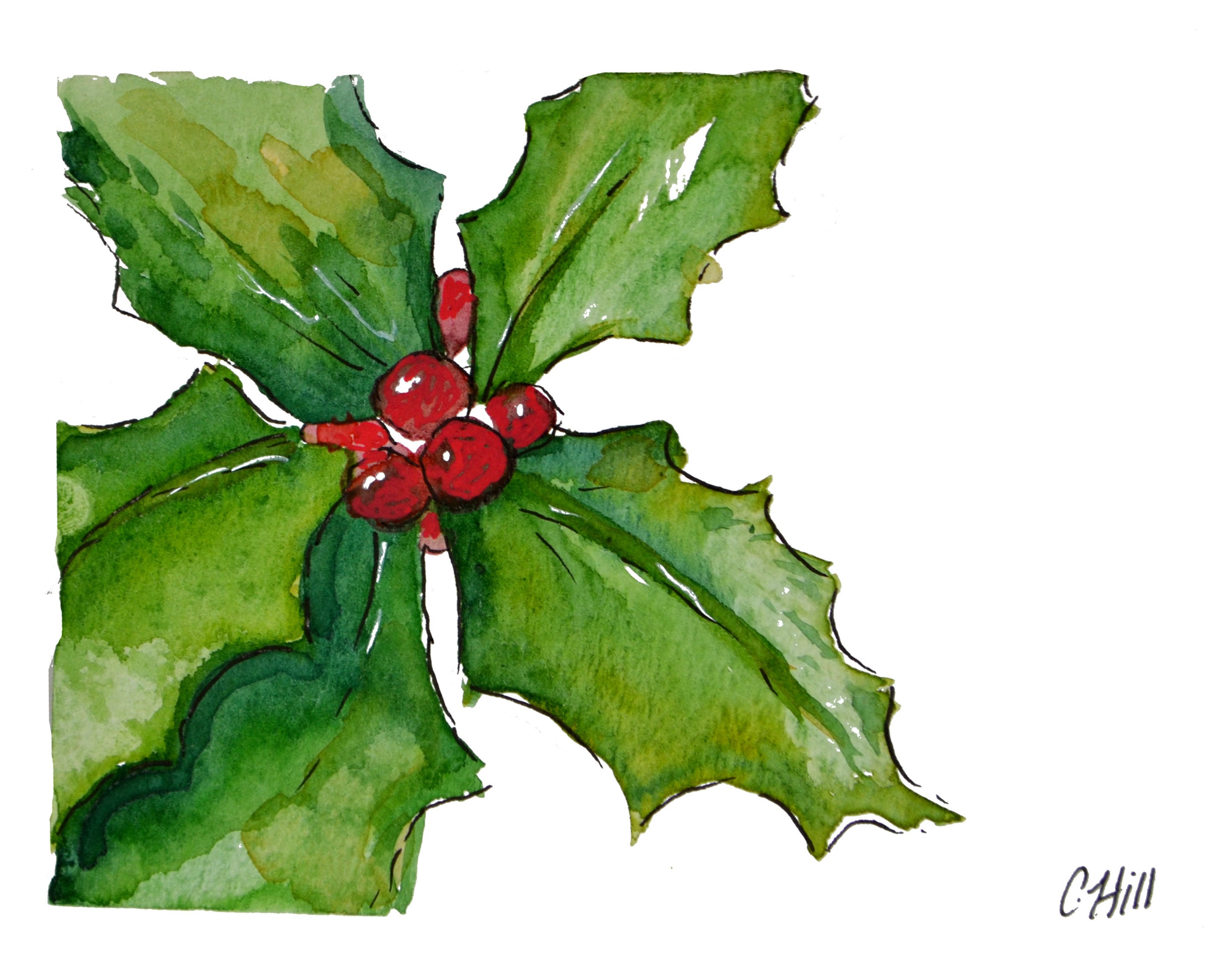 Watercolor Holly Digital Download Artwork - Etsy