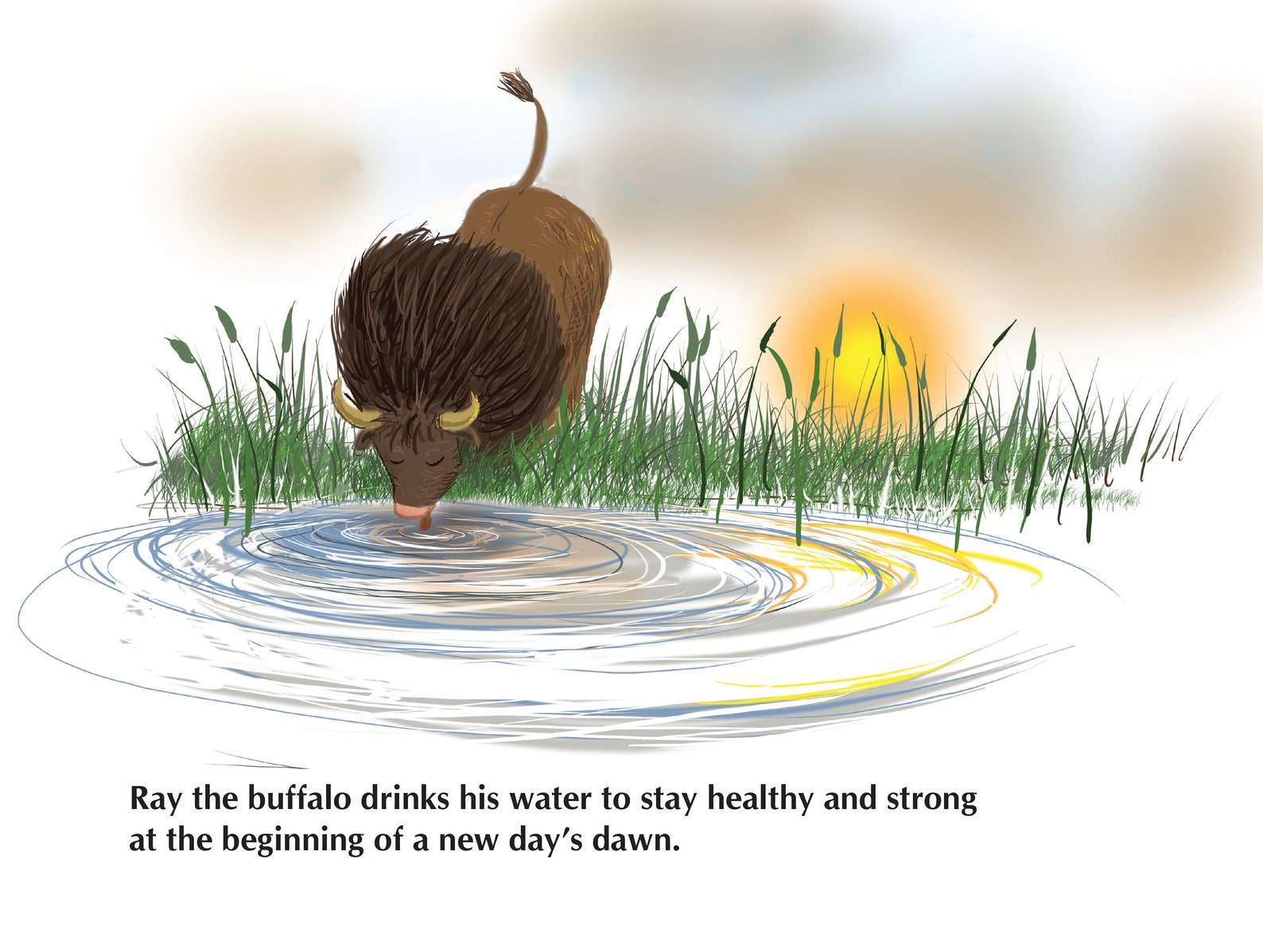 CHILDREN'S BOOK - the Story of Ray the Buffalo. Featuring Usa's ...