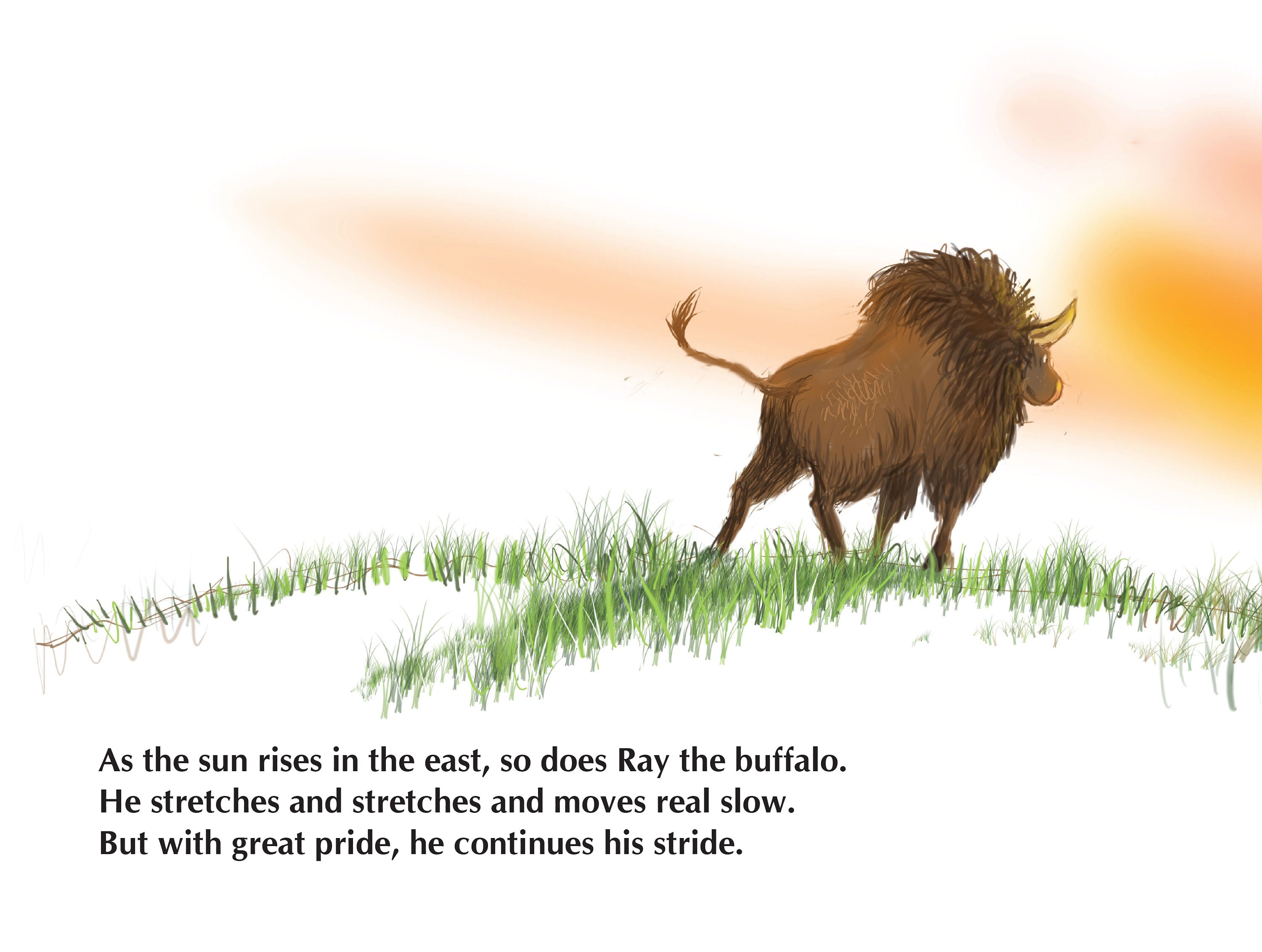 CHILDREN'S BOOK - the Story of Ray the Buffalo. Featuring Usa's ...