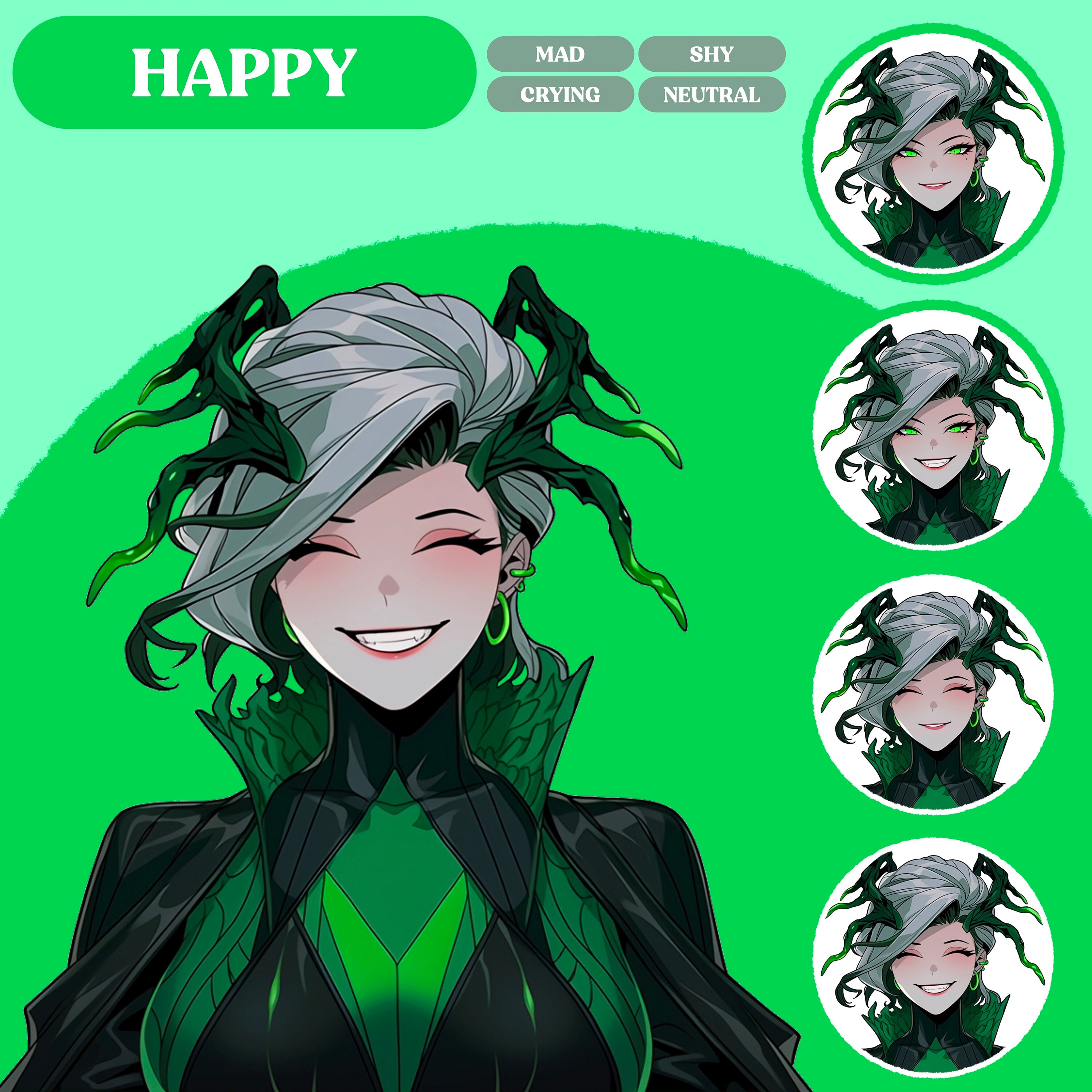 Pngtuber Model Evil Witch Green Pngtuber Premade Model Anime Pngtuber ...