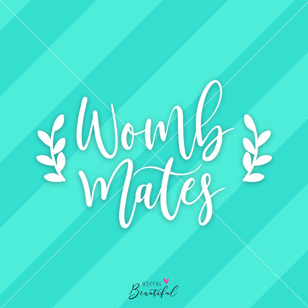 Womb Mates SVG. Twin Quote Twin Babies Onsies Baby-born - Etsy