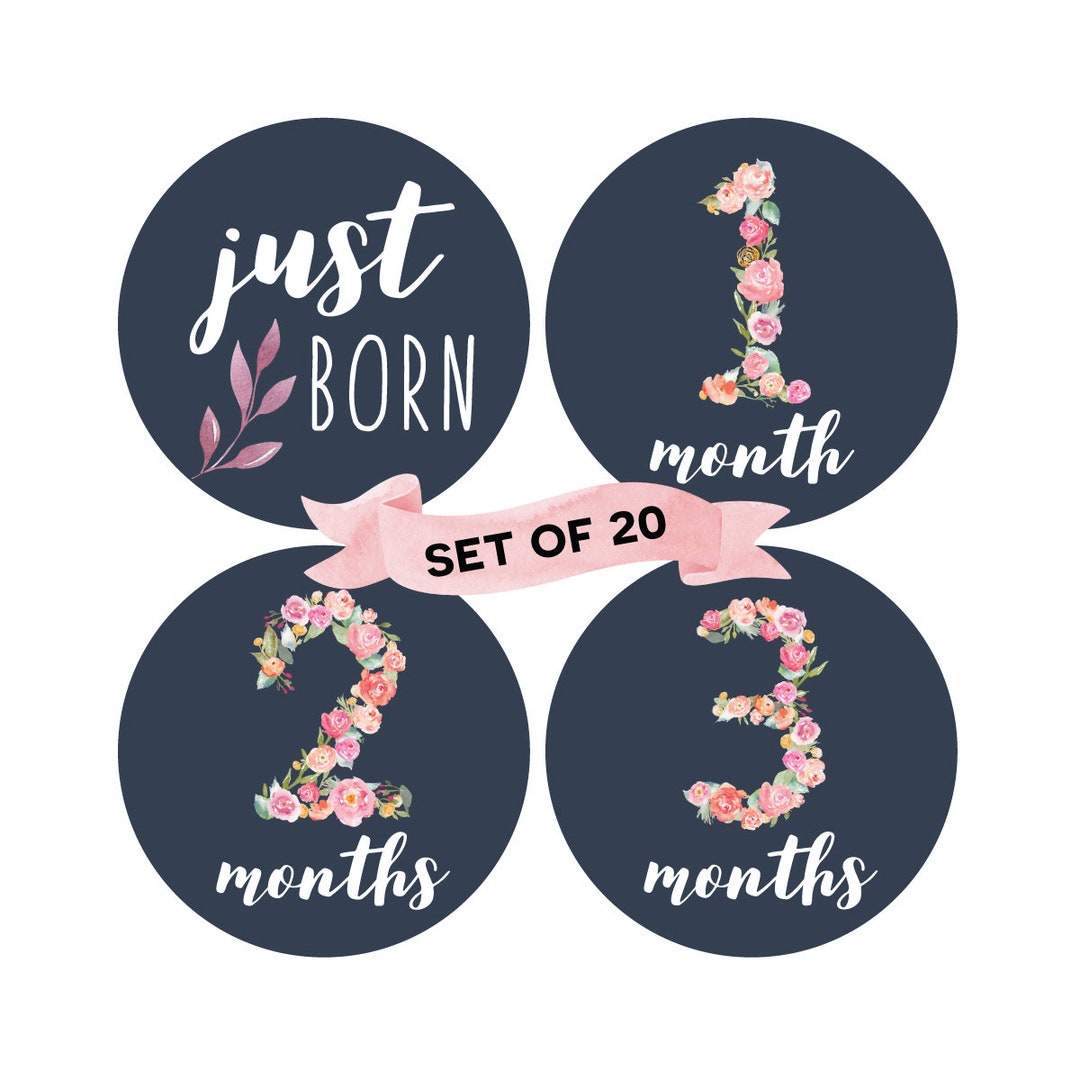 Baby Monthly Milestone Stickers set of 20 Floral Milestone Stickers - Etsy