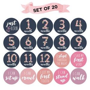Baby Monthly Milestone Stickers set of 20 Floral Milestone Stickers - Etsy