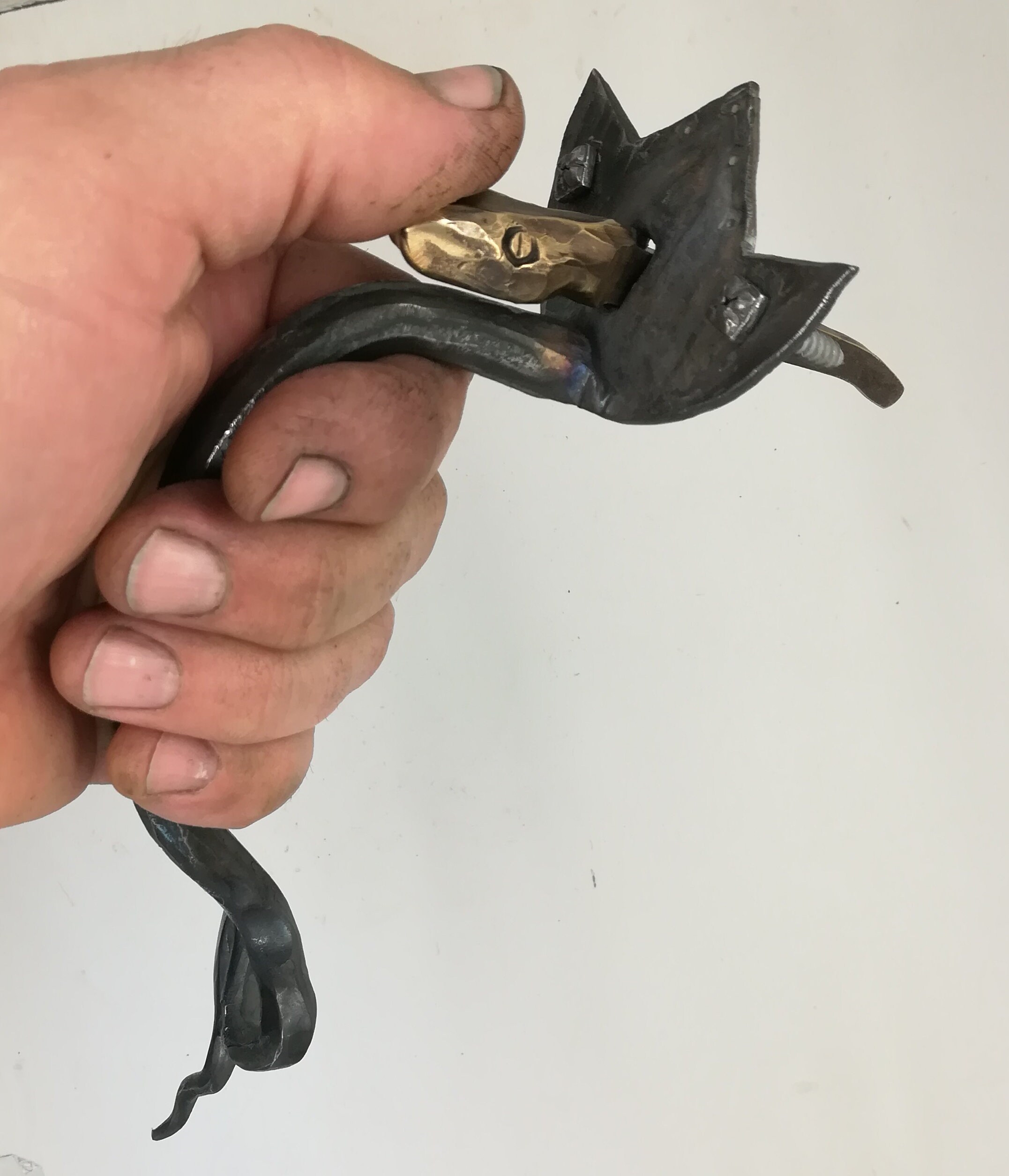 Home Improvement Home & Living Doors & Locks Door thumb-latch snake ...