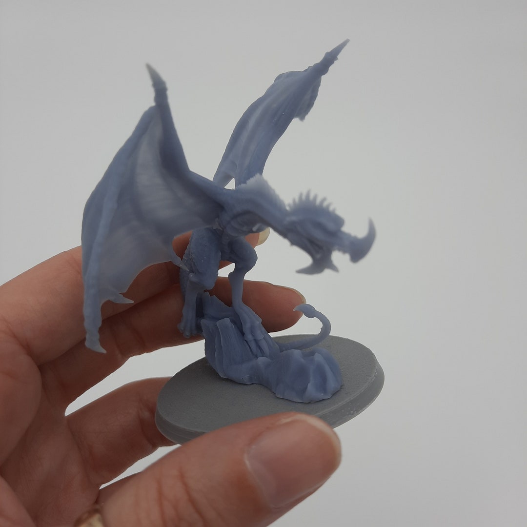 Wyvern, Fantasy Creature, Roleplaying Games, Dungeons and Dragons ...