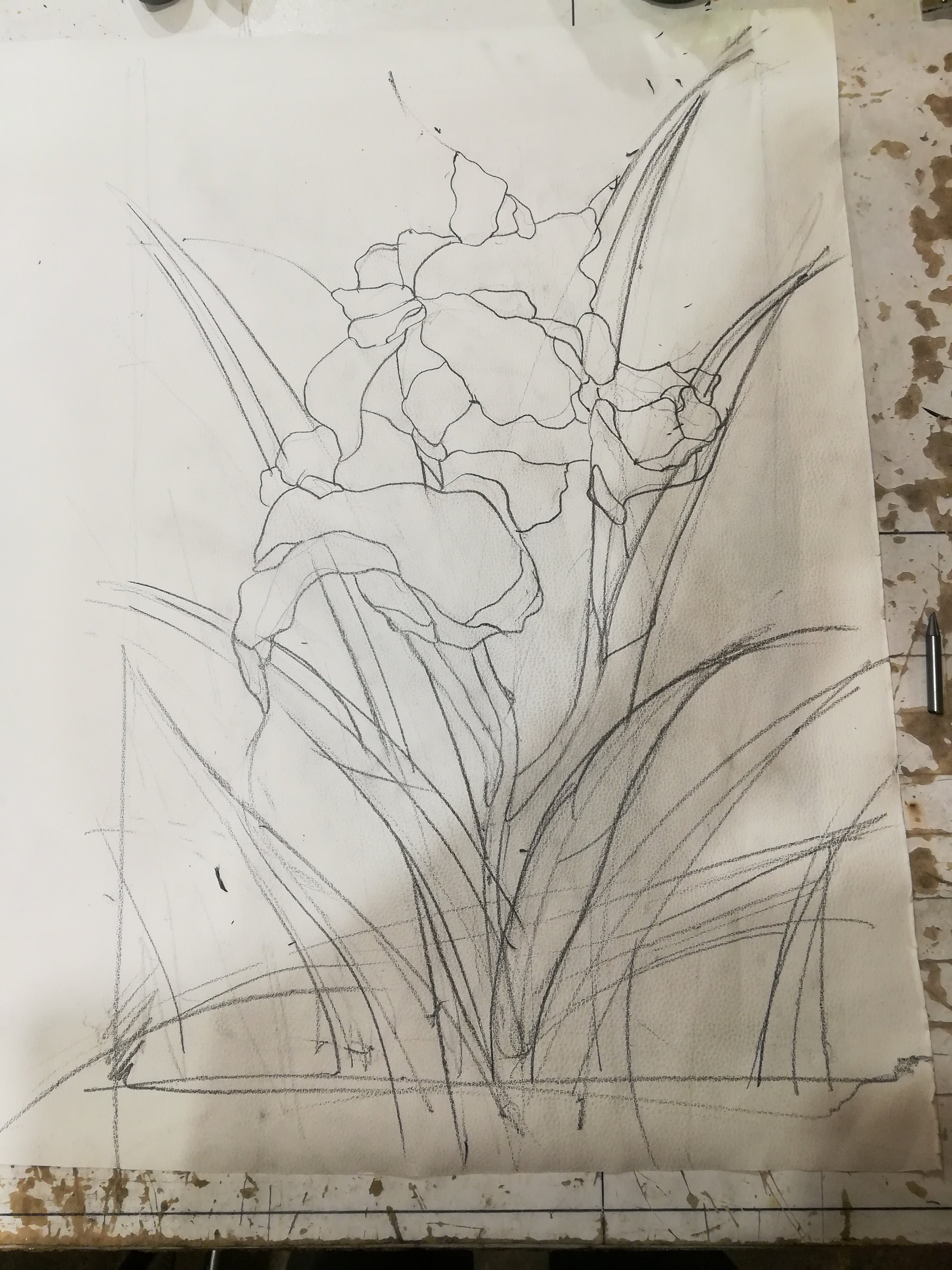 Iris Flower Stained Glass Digital Pdf Pattern - Etsy