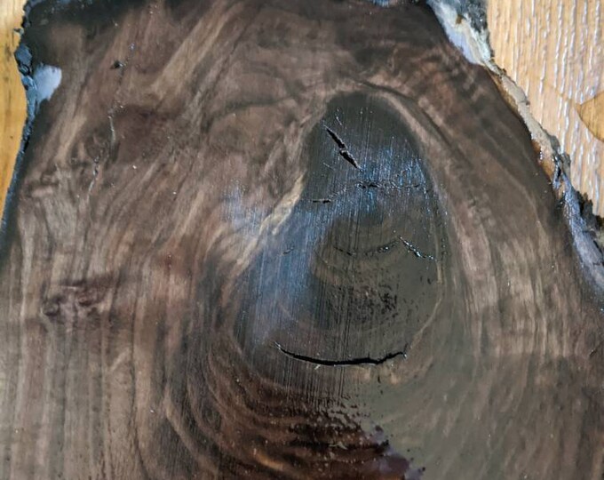 Black Walnut Root Ball Slice - Etsy