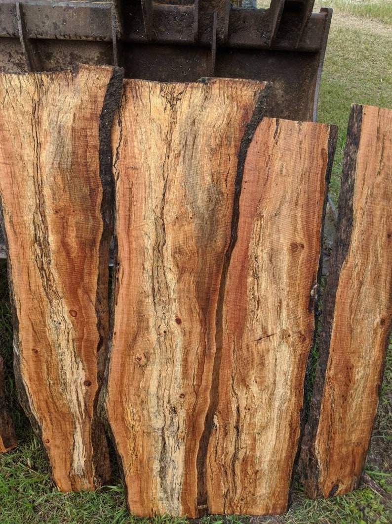 1 or 3/4 in Spalted Texas Pecan Live Edge Slabs Rough Cut Kiln - Etsy