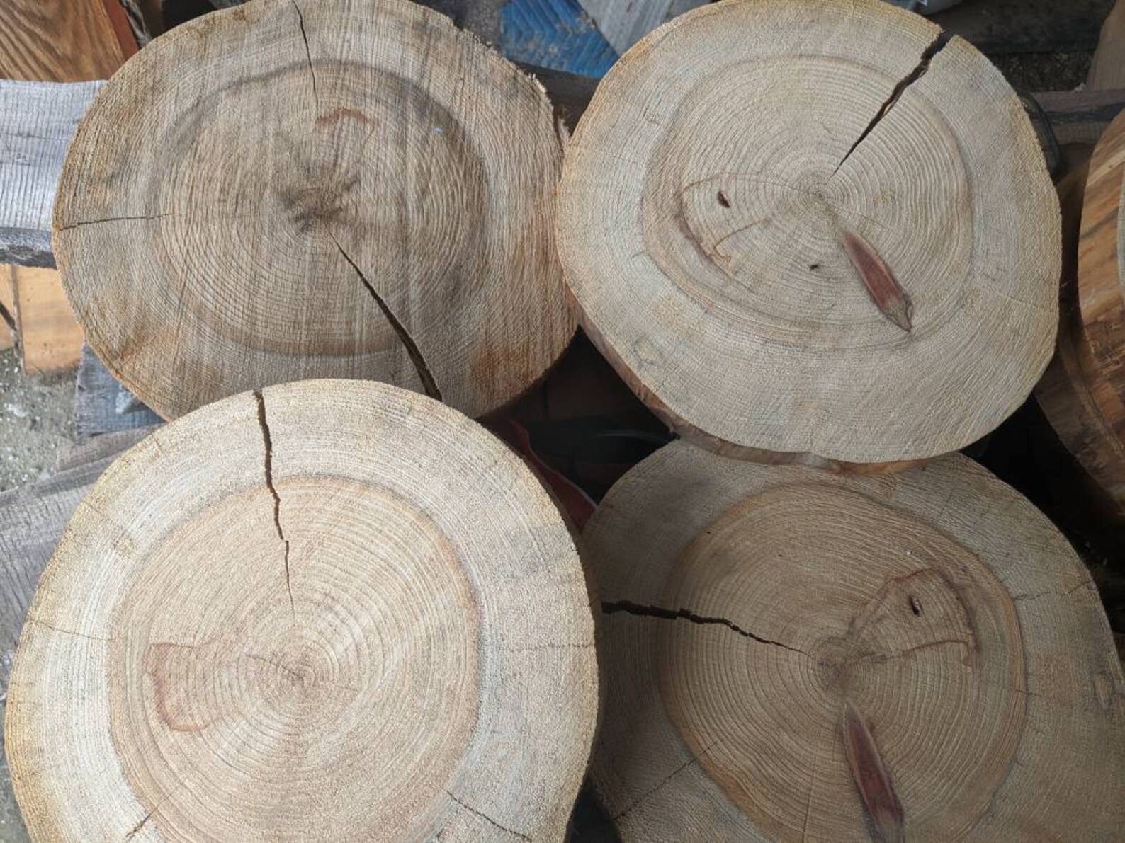 Round Live Edge Cypress Tree Slices - Etsy