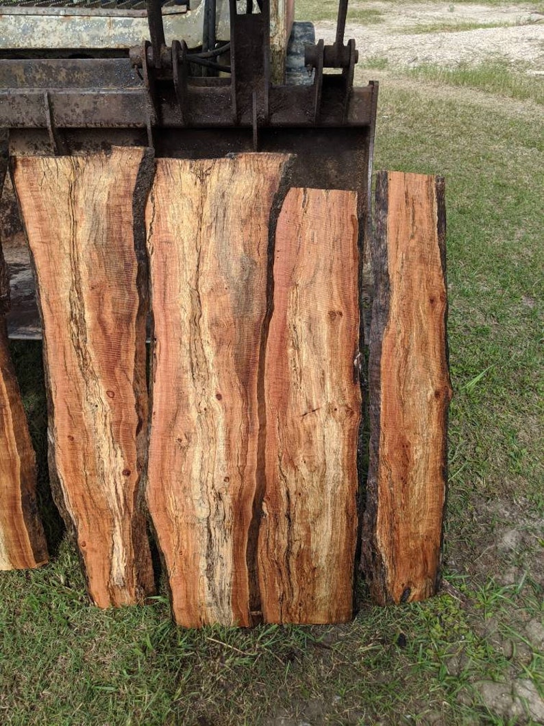 1 or 3/4 in Spalted Texas Pecan Live Edge Slabs Raw Living | Etsy
