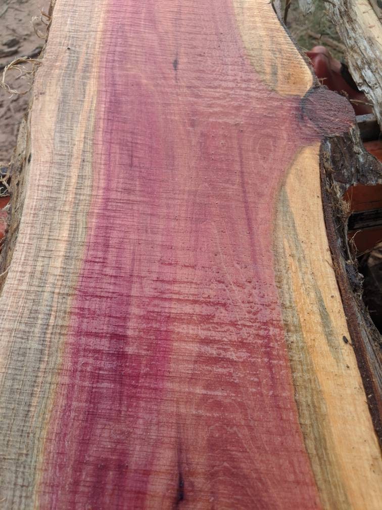 Live Edge Aromatic Red Cedar Slabs and Boards Raw Living Edges - Etsy