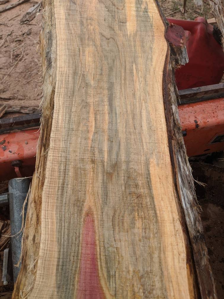 Live Edge Aromatic Red Cedar Slabs and Boards Raw Living Edges - Etsy