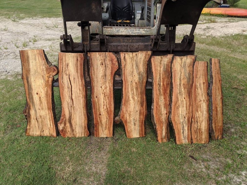 1 or 3/4 in Spalted Texas Pecan Live Edge Slabs Raw Living | Etsy