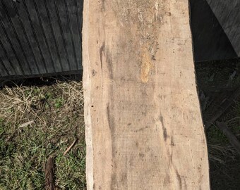 1 or 3/4 in Spalted Texas Pecan Live Edge Slabs Rough Cut Kiln - Etsy