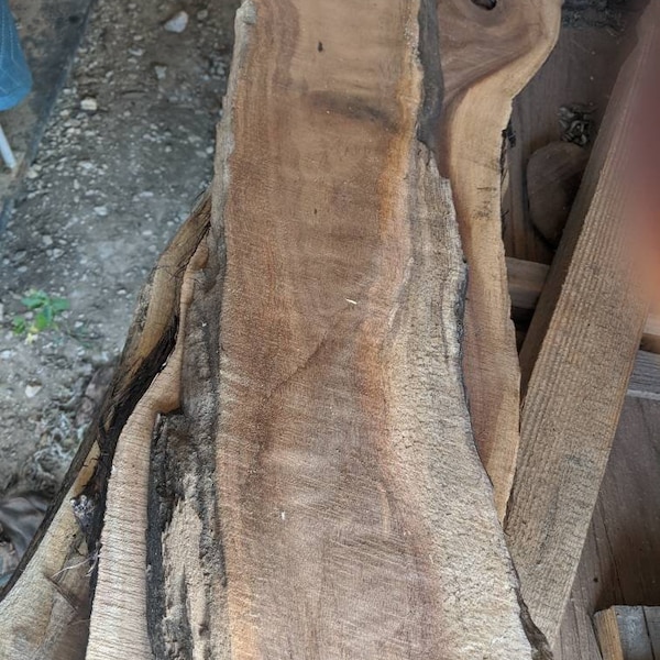 Black Walnut Slices - Etsy