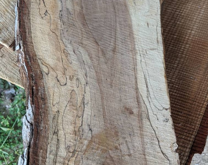 1 or 3/4 in Spalted Texas Pecan Live Edge Slabs Rough Cut Dried - Etsy