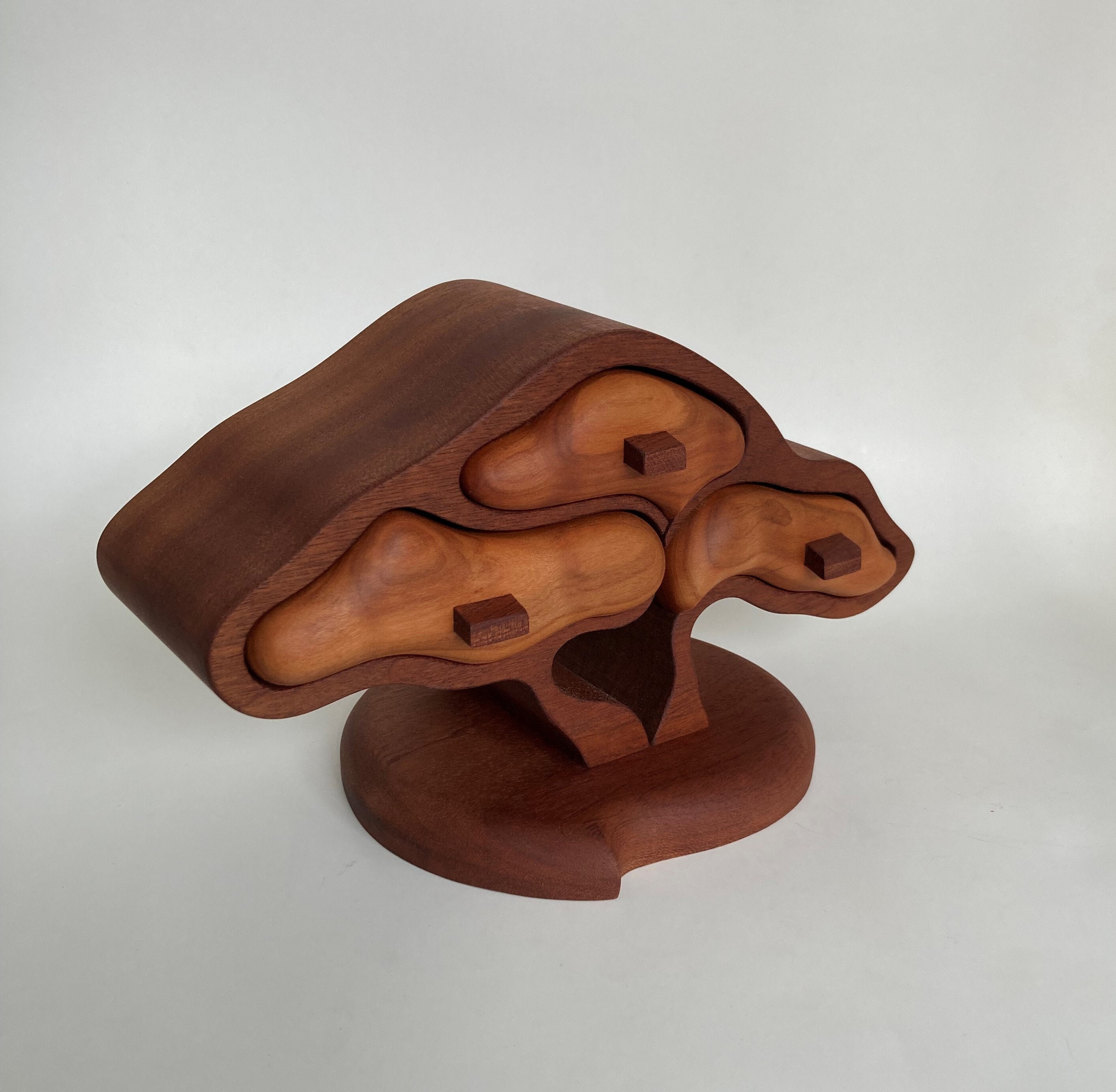 Wooden Jewelry Box bonsai Tree Made of Solid - Etsy