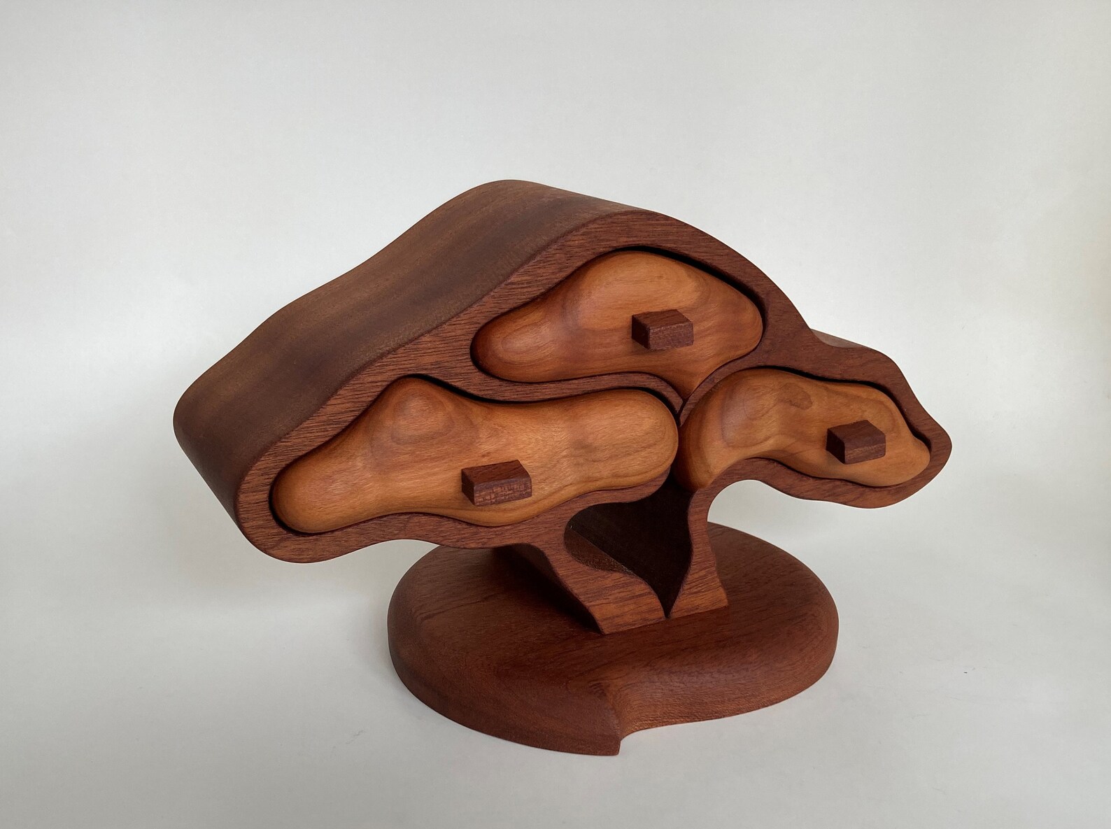 Wooden Jewelry Box bonsai Tree Made of Solid - Etsy