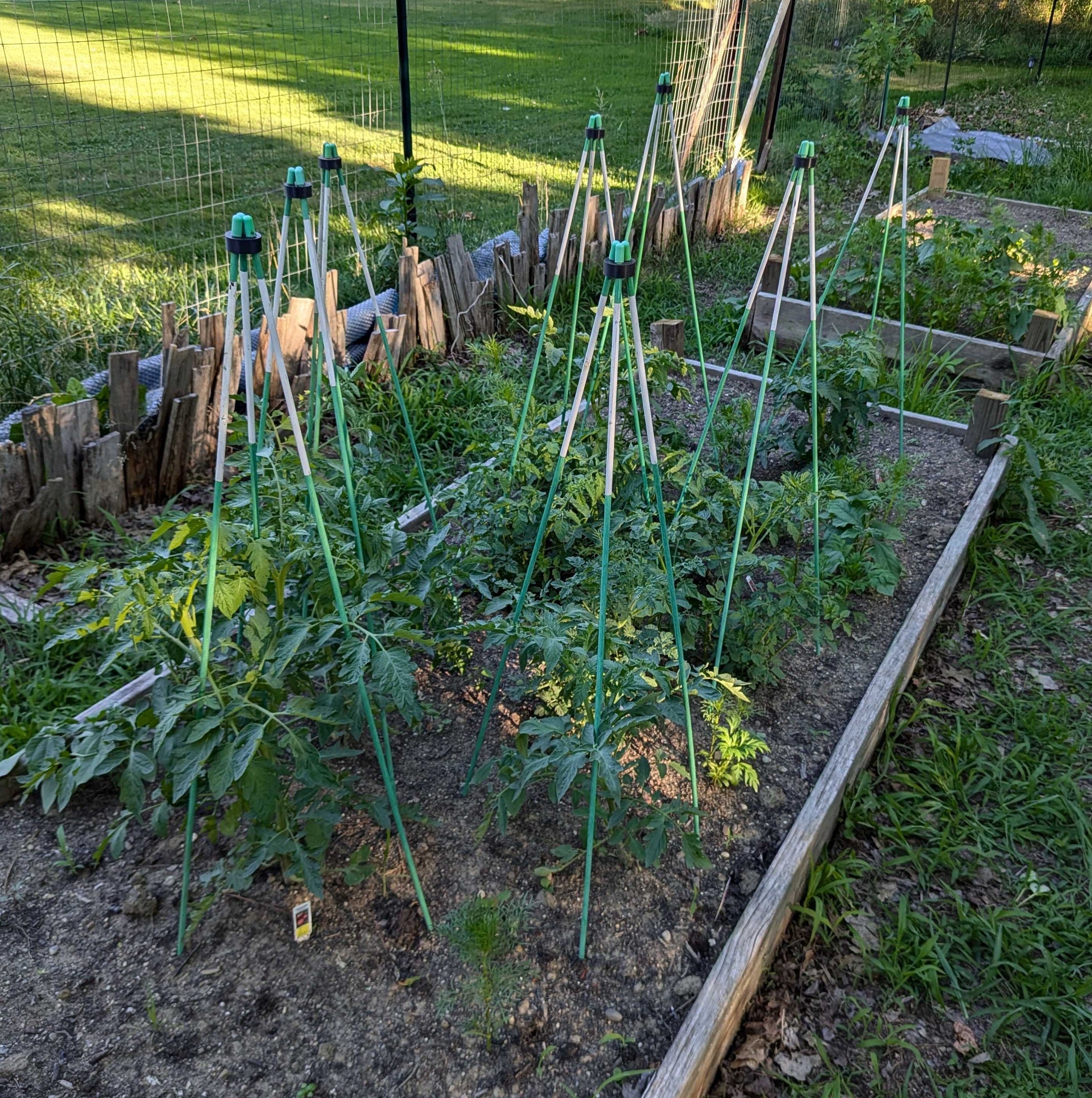 Garden Hack! Repurpose Winter Driveway Snow Plow Stakes for Tomato ...