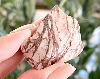 Rough Zebra Jasper - Etsy