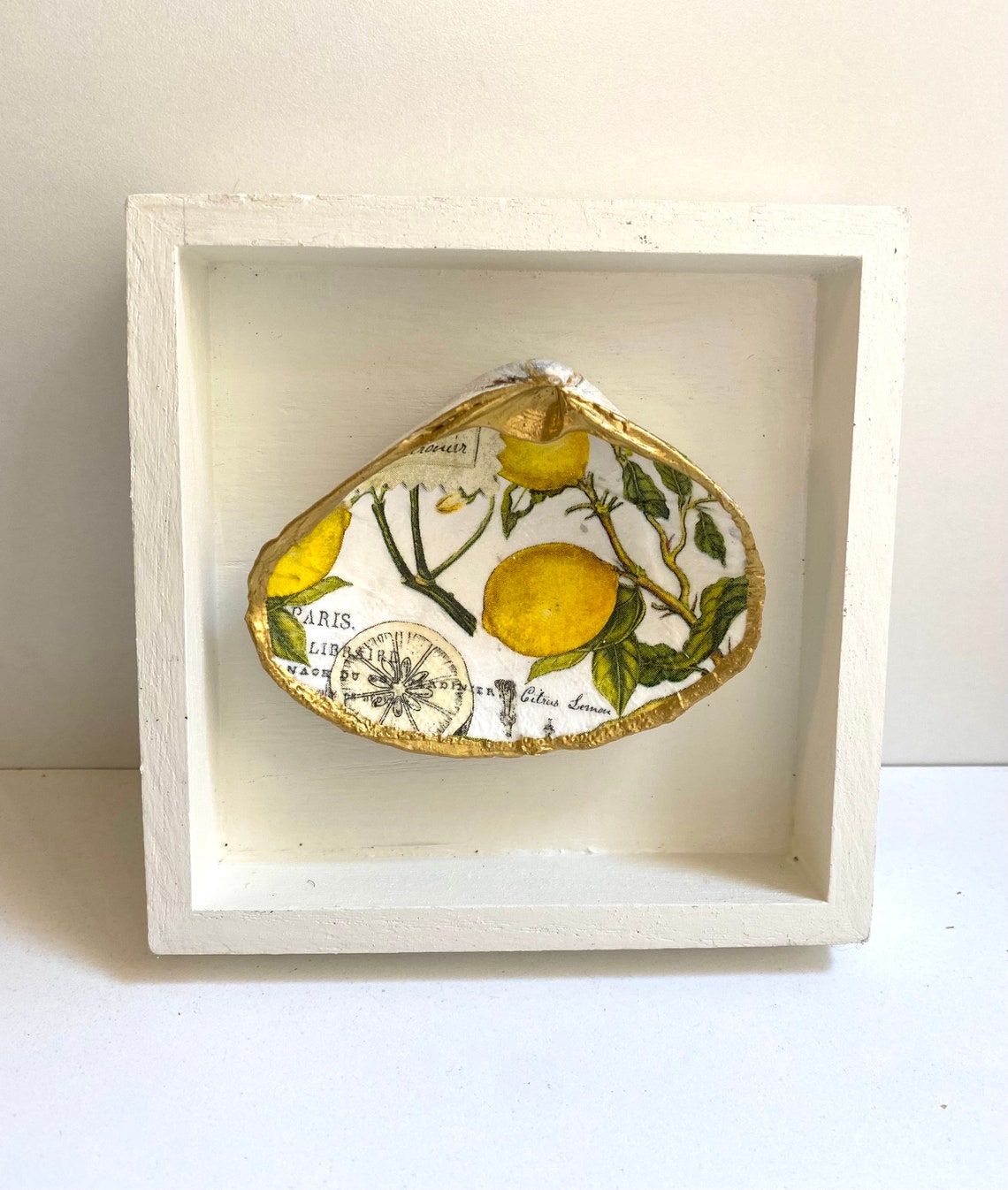 Clam Shell 4x4 Shadow Box Wall Hanging | Wall Decor | Coastal Design ...